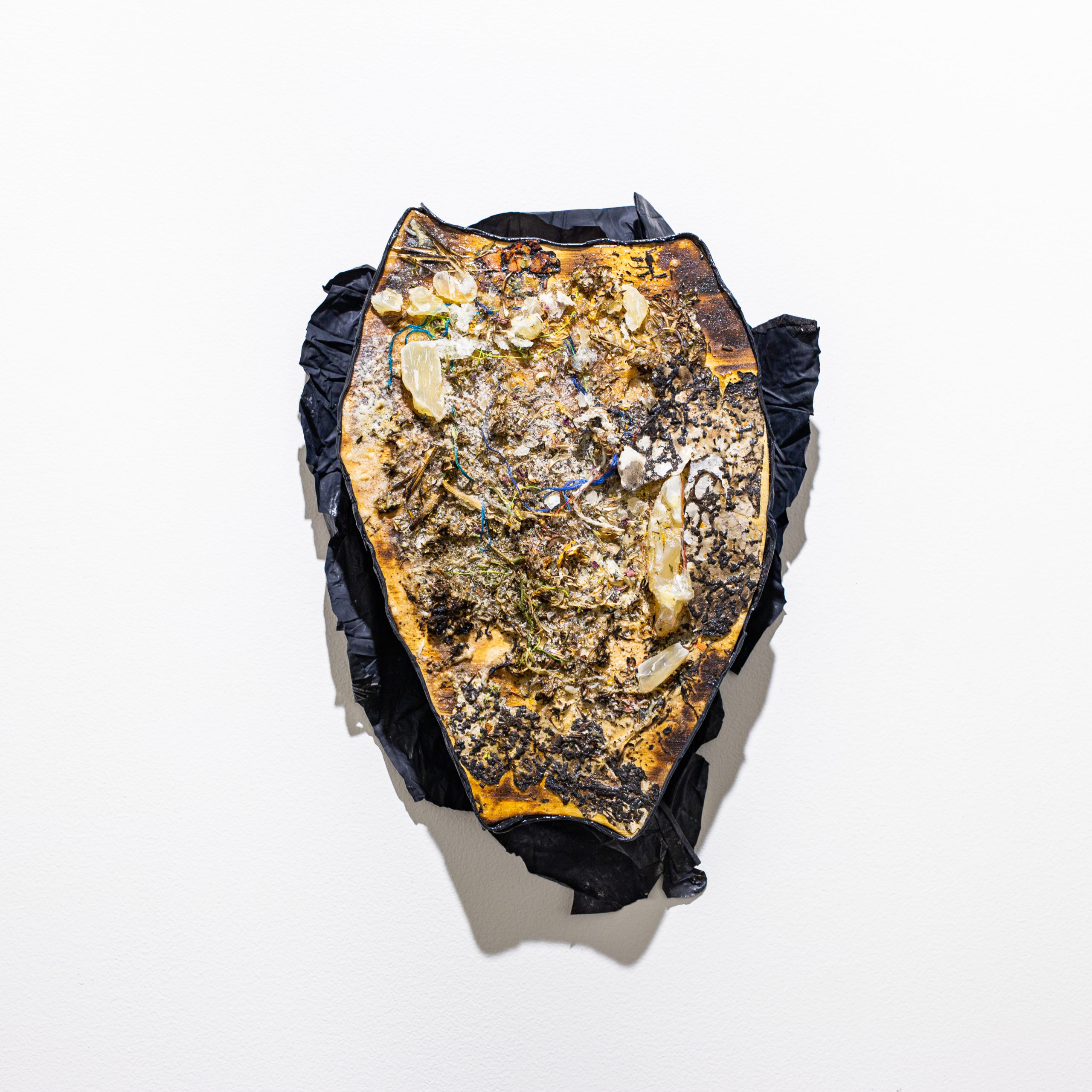 Tiger Jaws – Francheska Alcántara